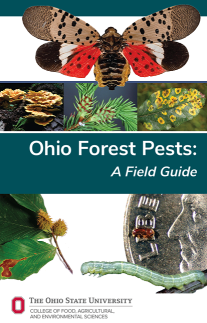 Eastern Forest Pests